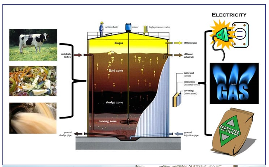 Biomass & Biogas Energy – Total Eco Energy